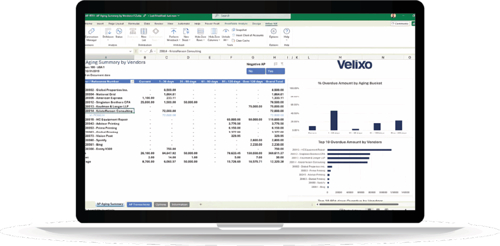 Velixo: ERP-Integrated Excel Solution for Financial Management